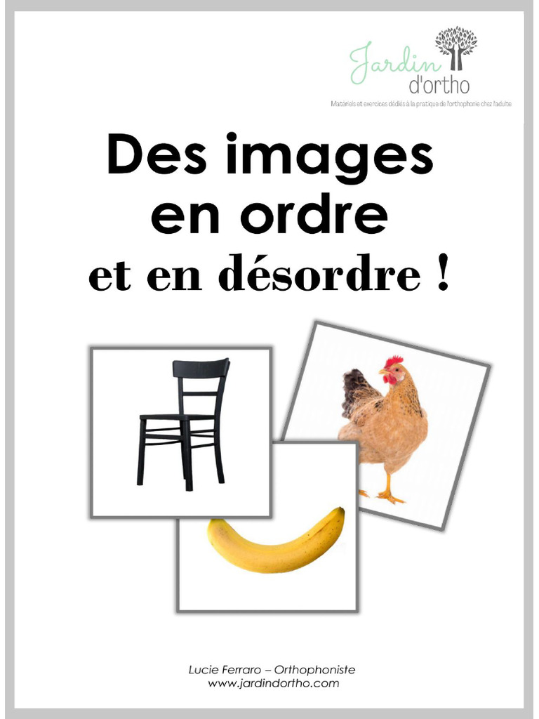 Des Images en Ordre Et en Désordre | PDF