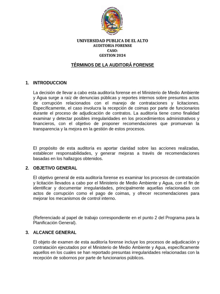 3..TERMINOS DE AUDITORIA (1) | PDF