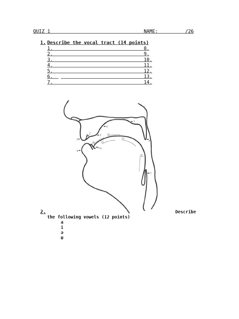 EXERCISE Vocal Tract | PDF