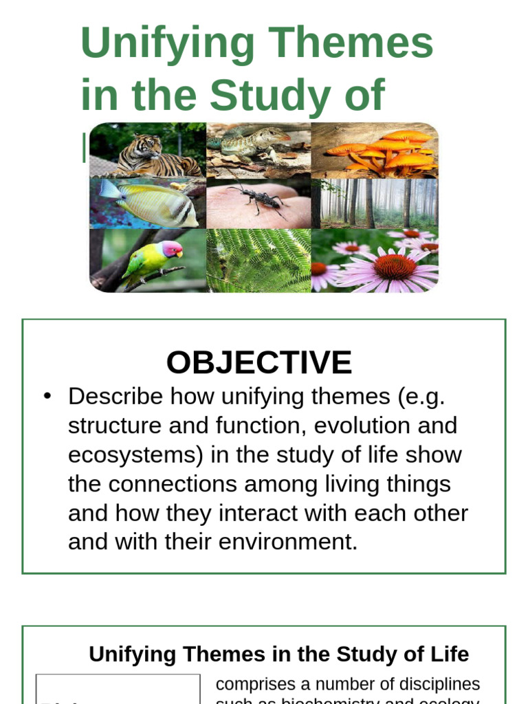 Lesson2 Unifying Themes of Life | PDF