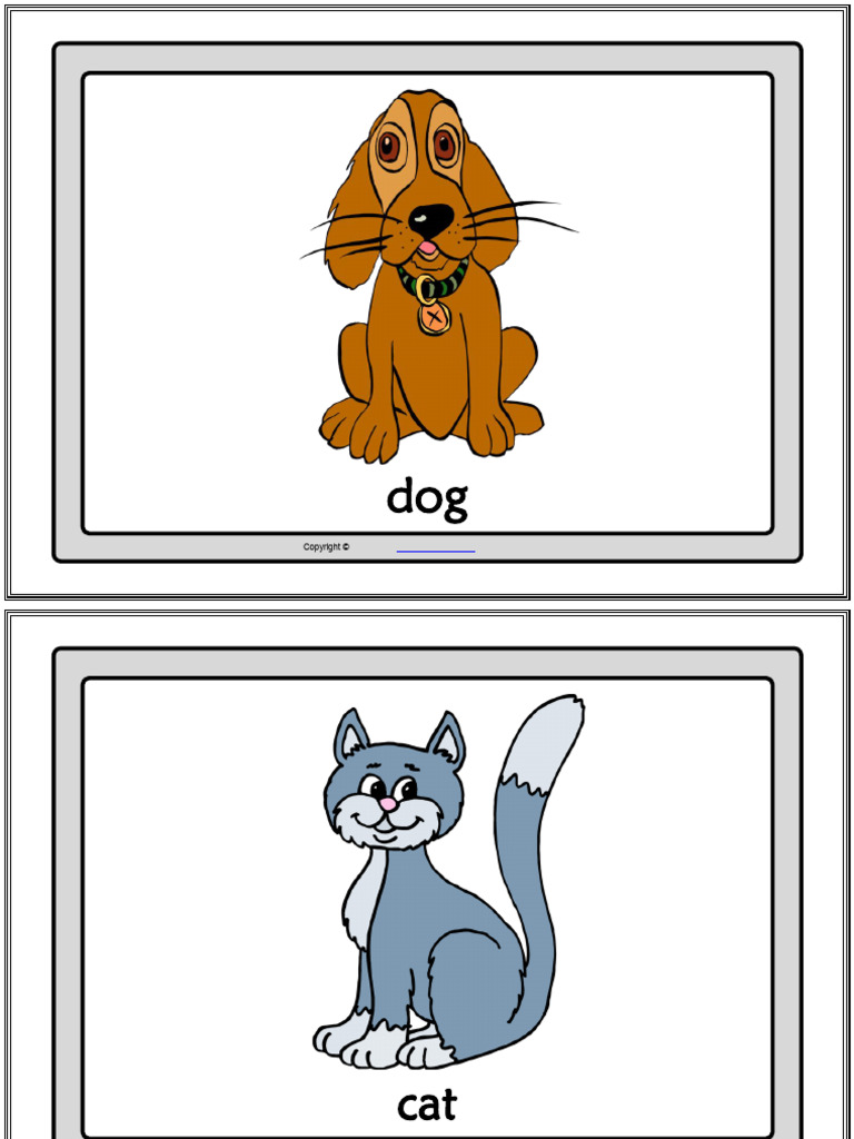 Pets Vocabulary Esl Printable Flashcards With Words For Kids | PDF