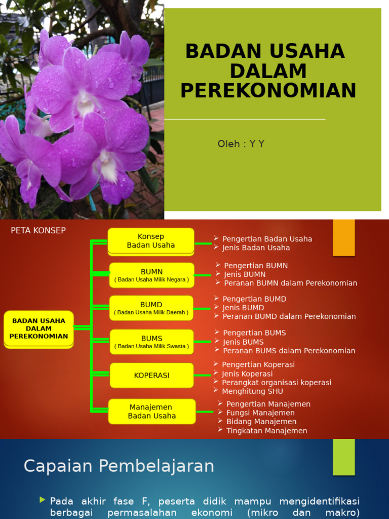 1-BAB 1 - Badan Usaha Dalam Perekonomian | PDF