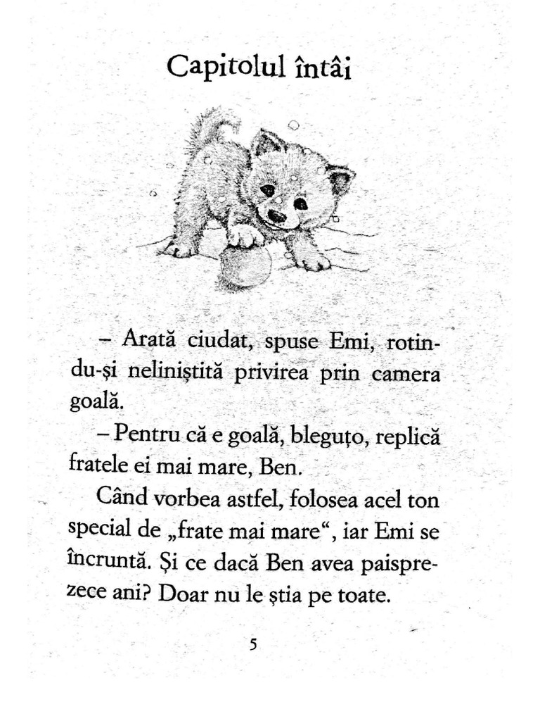 Rina Catelusa Pierduta de Holly-Webb | PDF