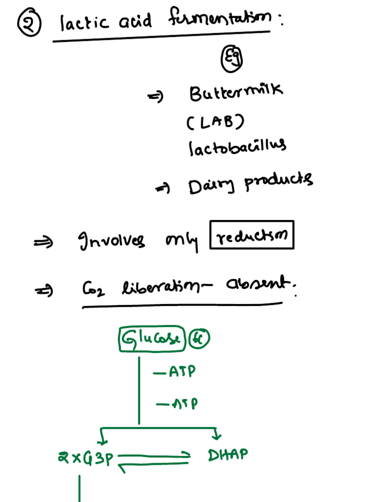 Lactic Acid Fermentation Link Reaction Krebs Cycle - Introduction | PDF