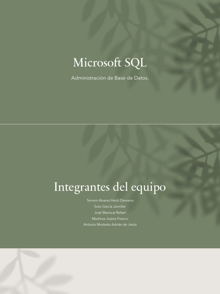 Microsoft SQL, Exposición | PDF
