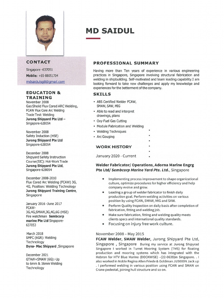 MD Saidul - CV | PDF