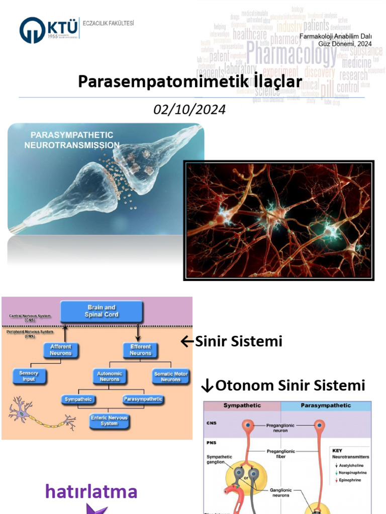 2 - 2024 Far2. Psymp | PDF