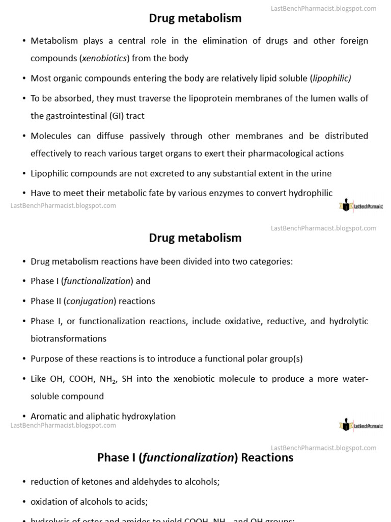 Drug Metabolism | PDF