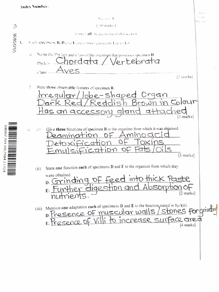 Wassce Biology Practical 2024 Answers | PDF