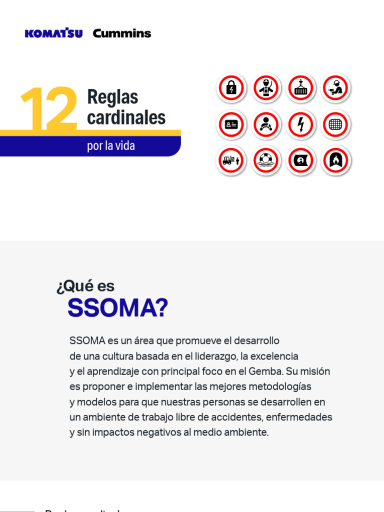 REGLAS CARDINALES (1) | PDF