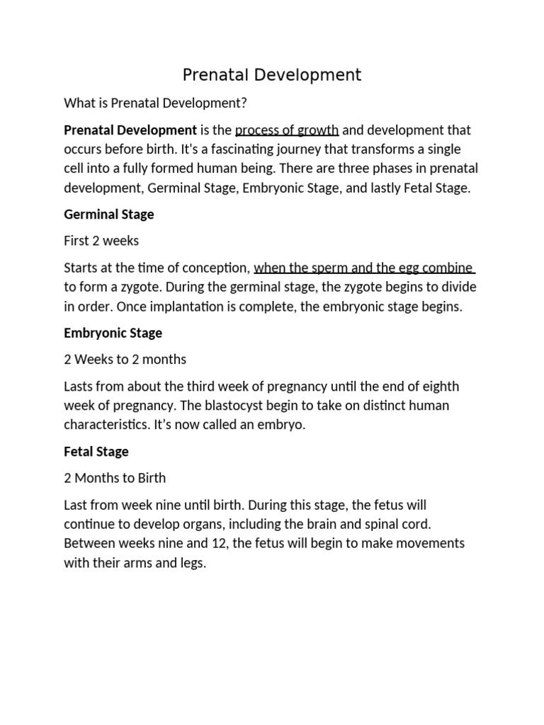 Prenatal Development | PDF | Wellness