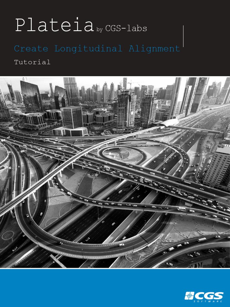 2021 - Plateia - Design Workflow - Create Longitudinal Alignment | PDF