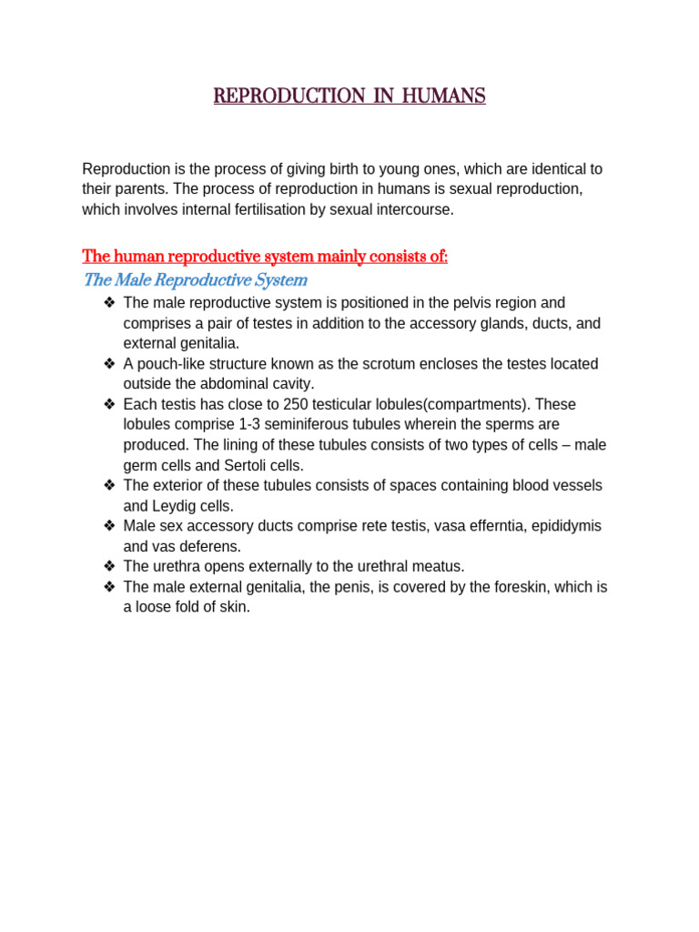 Reproduction in Humans | PDF