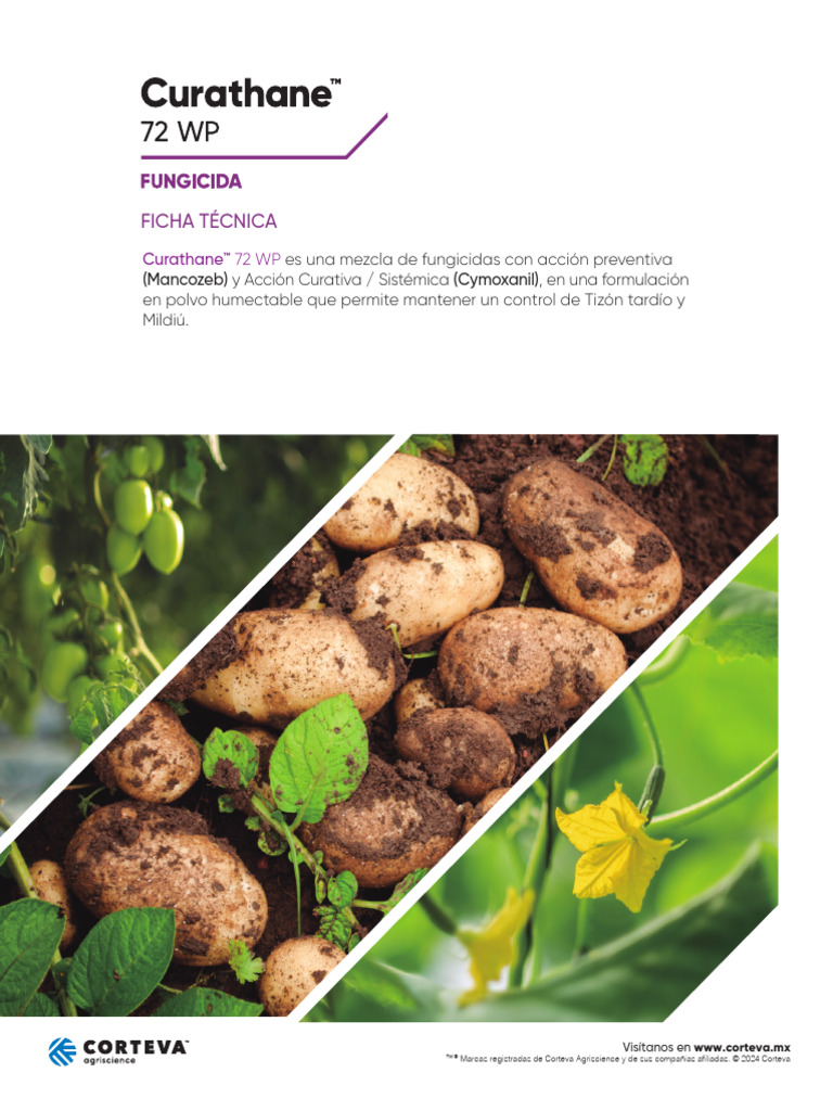 F.T. Curathane 72 WP | PDF