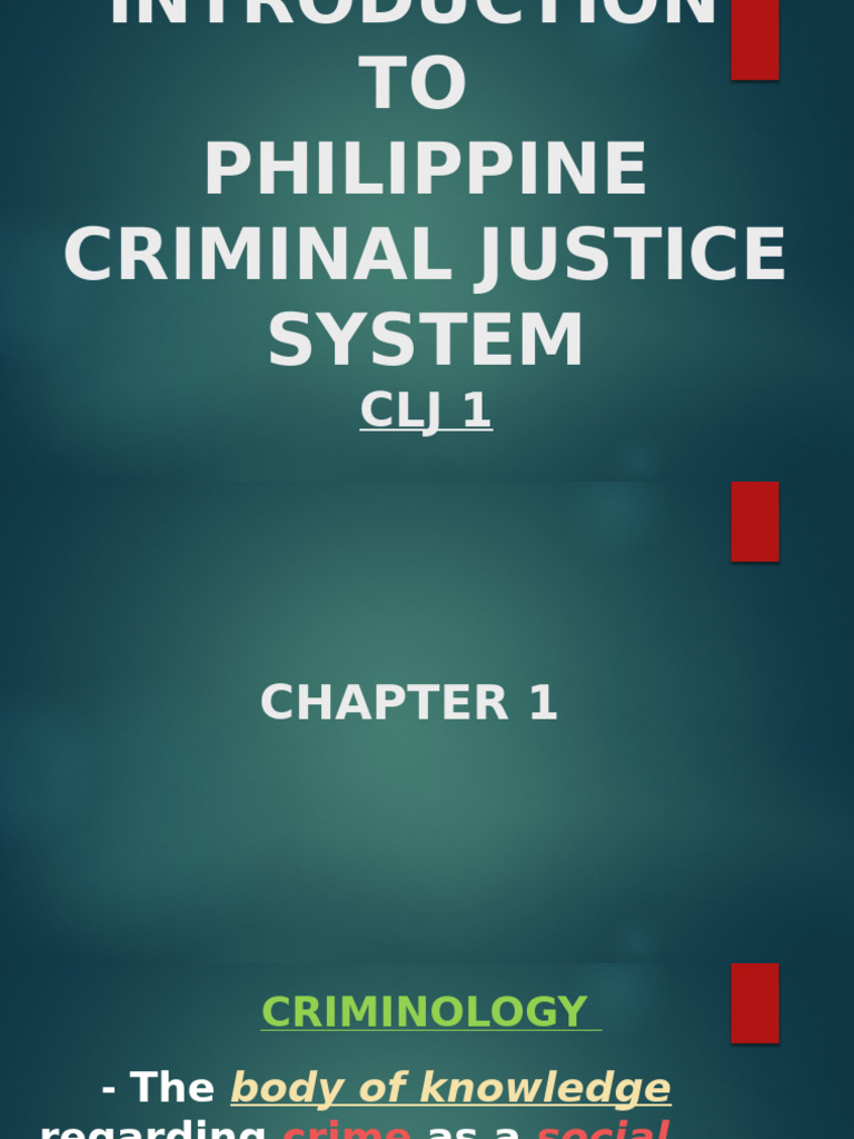 Criminal Justice System | PDF