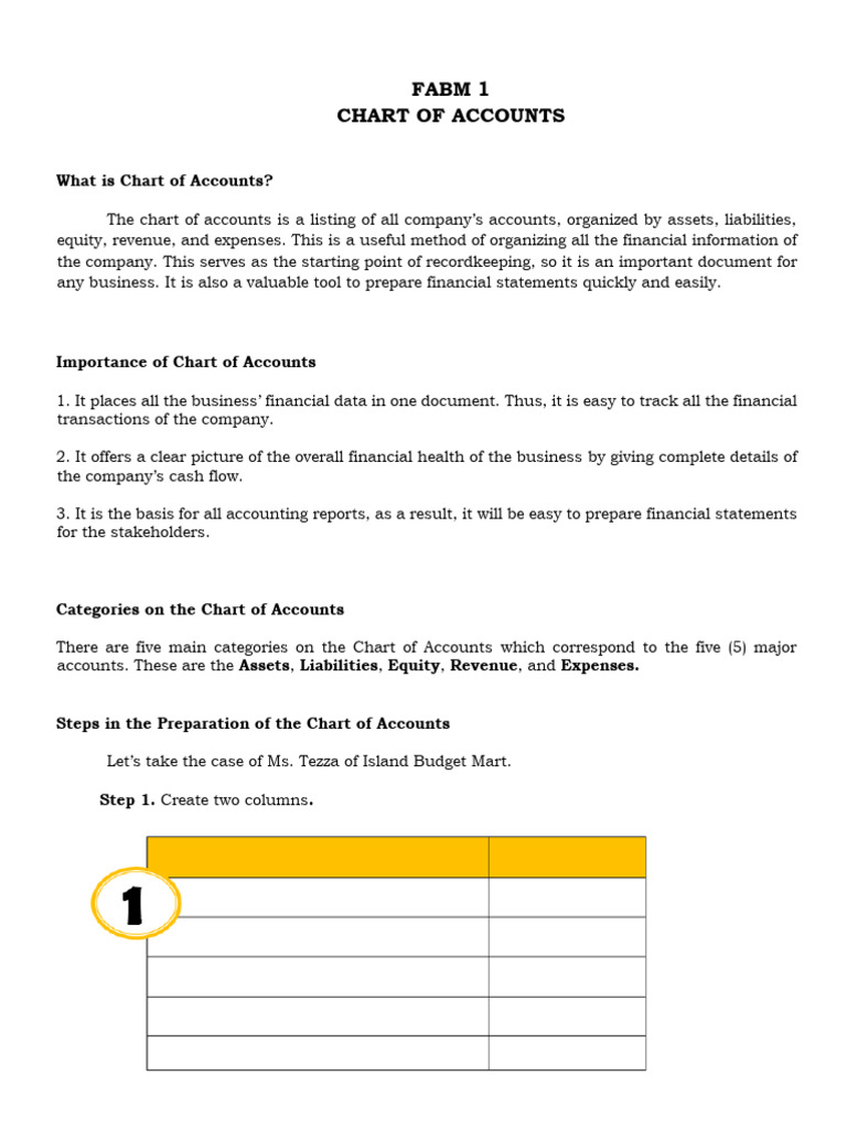 Chart of Accounts Notes | PDF