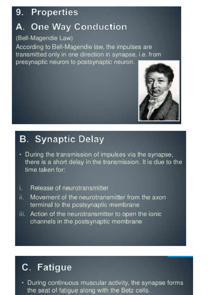 BS 6 Animal Physiology 3 Lecture | PDF