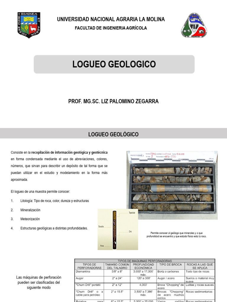 C1 - Logueo de Muestras | PDF