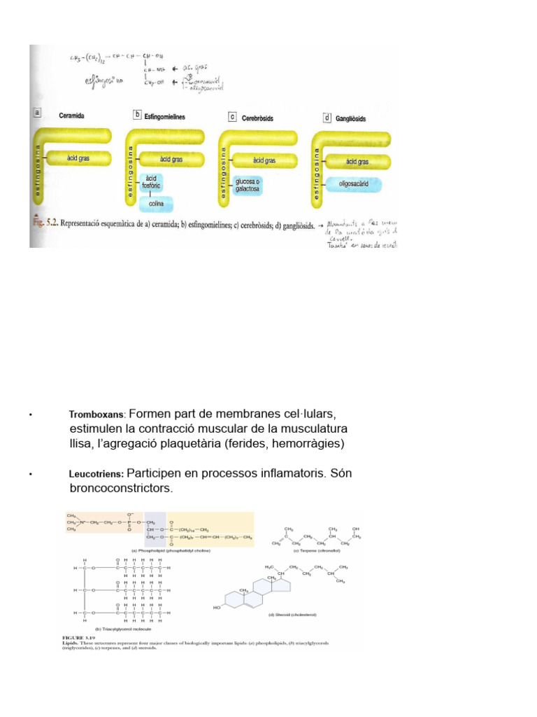 Ud3 Lã - Pids | PDF