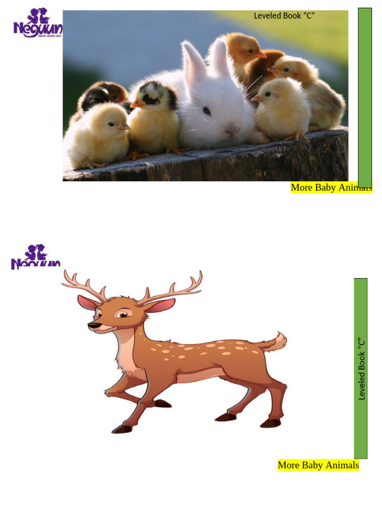 Flashcards Edit | PDF