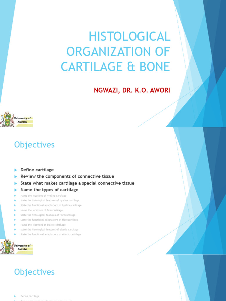 HISTOLOGICAL ORGANIZATION OF CARTILAGE & BONE (Autosaved) | PDF