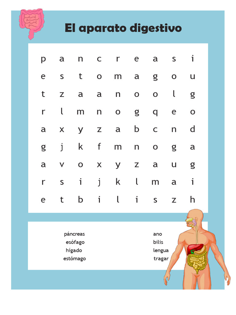 Sopa de Letras El Aparato Digestivo | PDF Sopa de Letras El Aparato Digestivo | PDF
