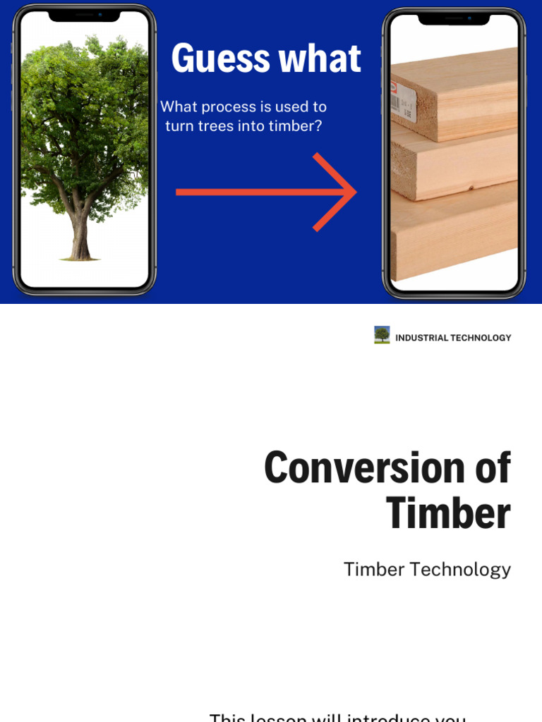 Conversion of Timber Presentation | PDF