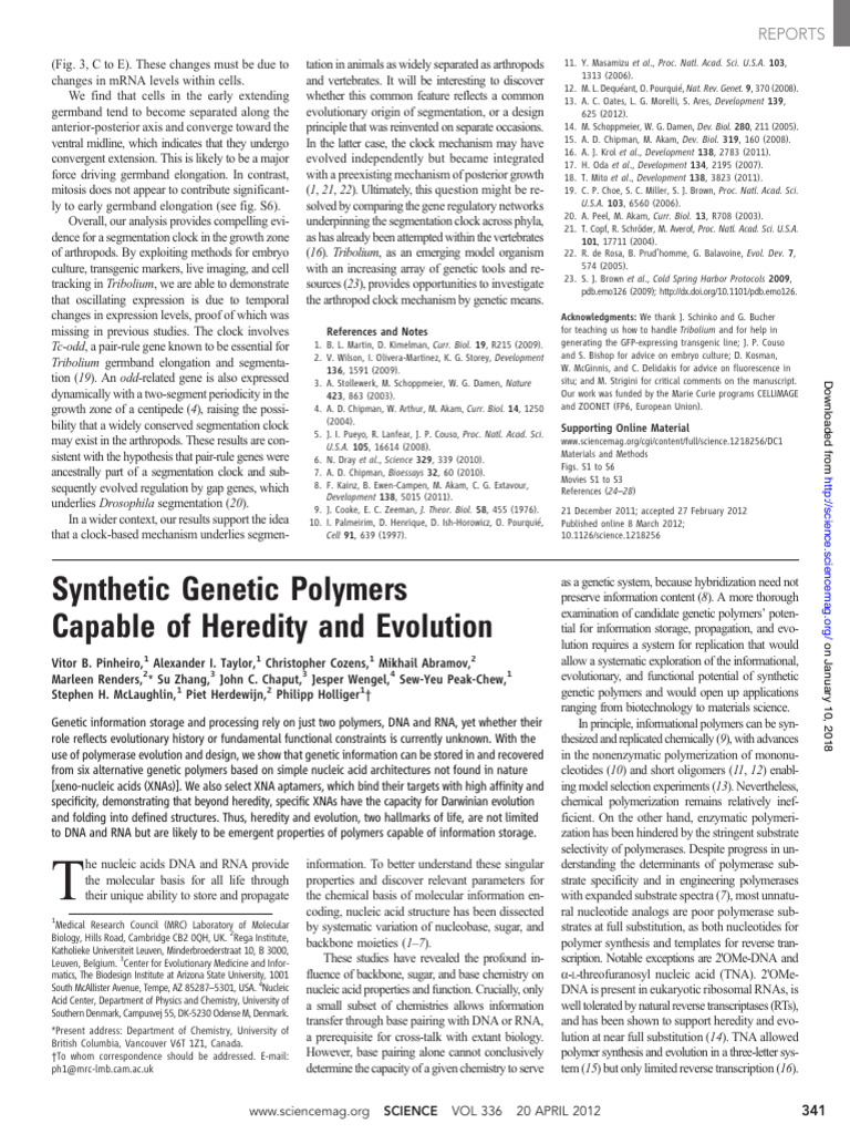 Synthetic Genetic Polymers Capable of Heredity and Evolution | PDF ...