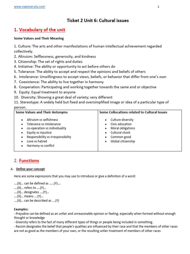 Unit 06 - Cultural Issues | PDF