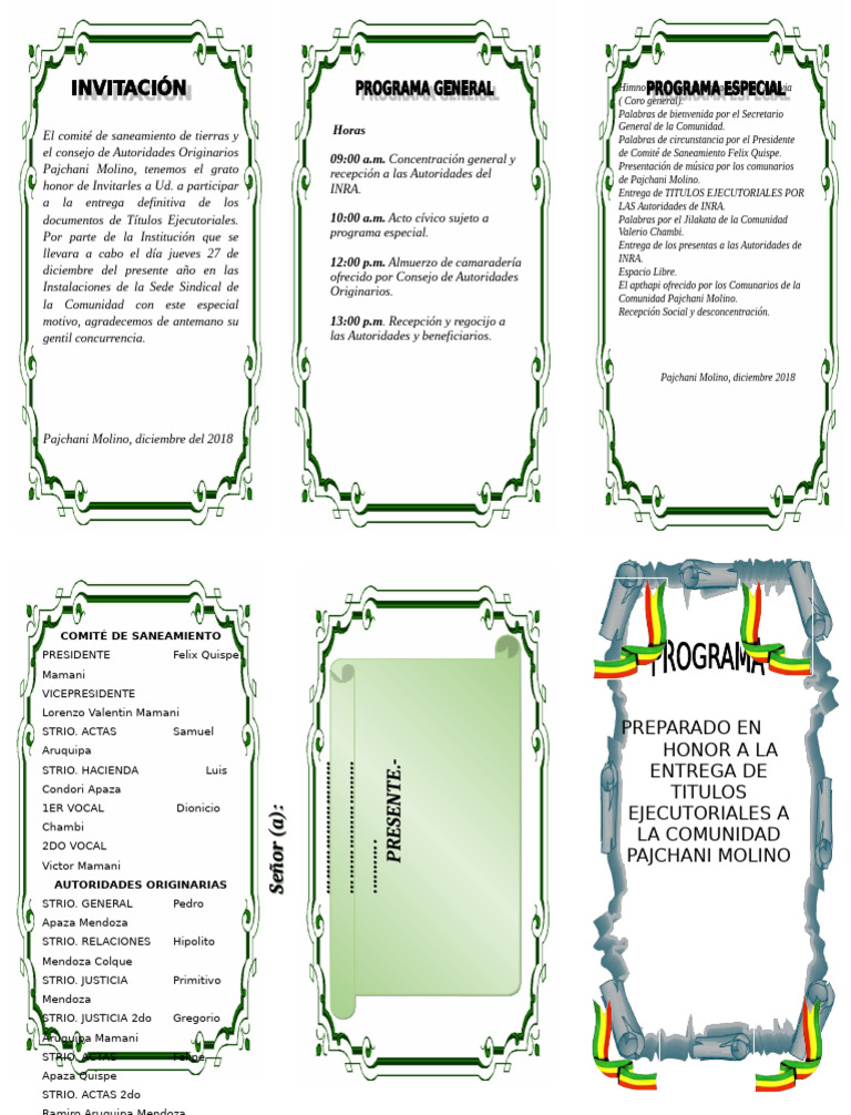 Triptico Programa | PDF