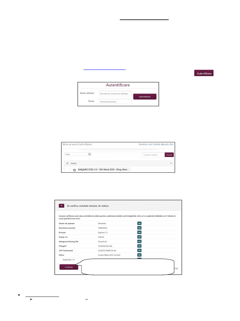 Manual Sustinere Simulari Automate ECDL Pentru Candidati - V3 - Mar 2017 | PDF