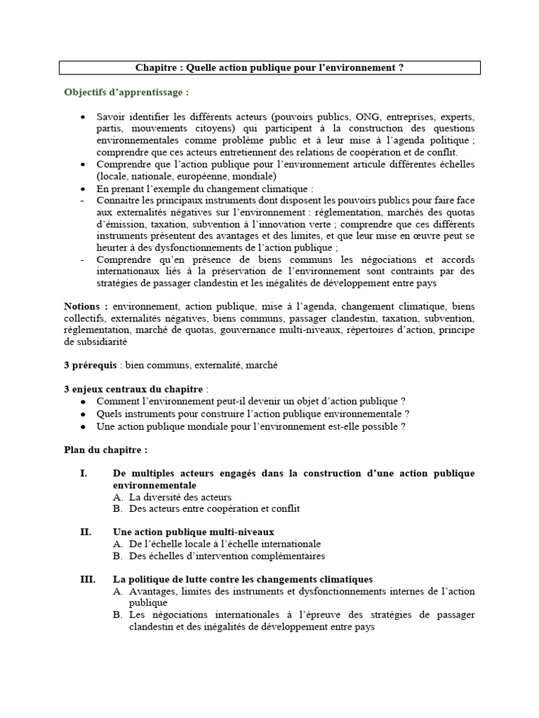 Action Publique Cours Magistral en Vue Du Bac | PDF