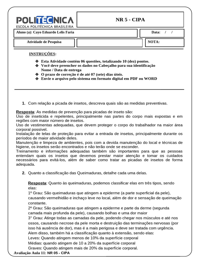 Atividade de Pesquisa CIPA - Cayo Eduardo Lelis Faria | PDF