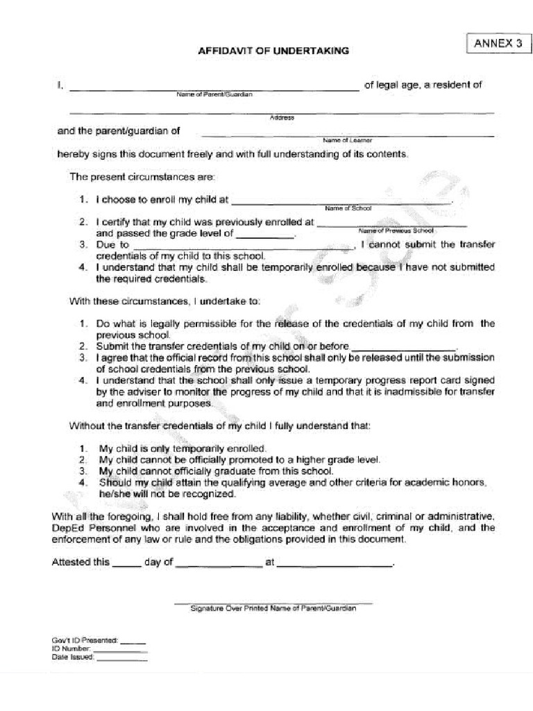 Affidavit of Undertakings | PDF