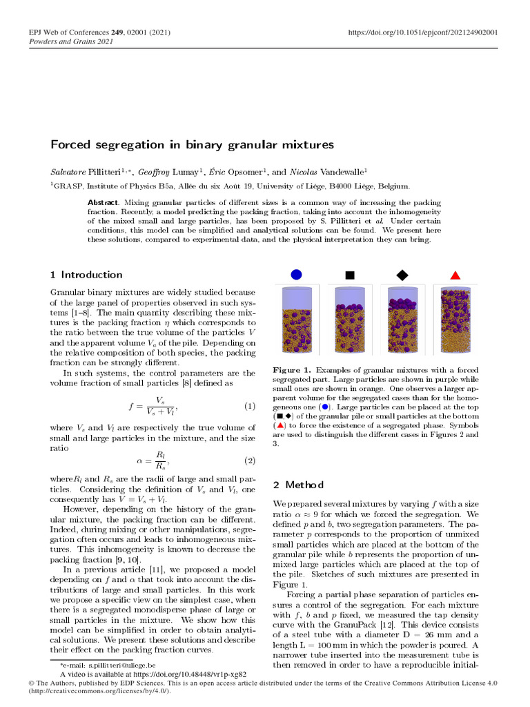 Forced Segregation in Binary Granular Mixtures | PDF