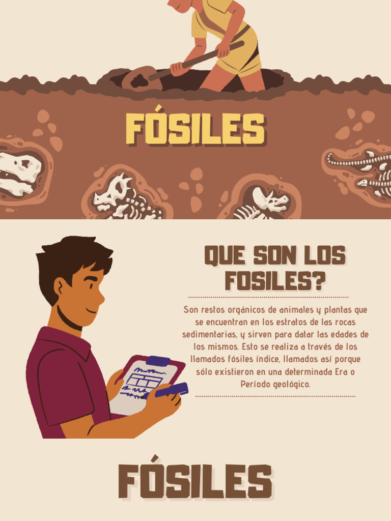 Science and History Fossils Educational | PDF