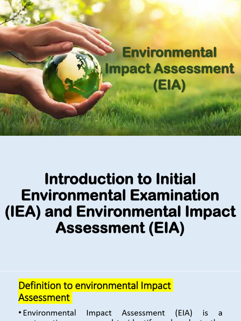 EIA Final Year 2020 Intake | PDF