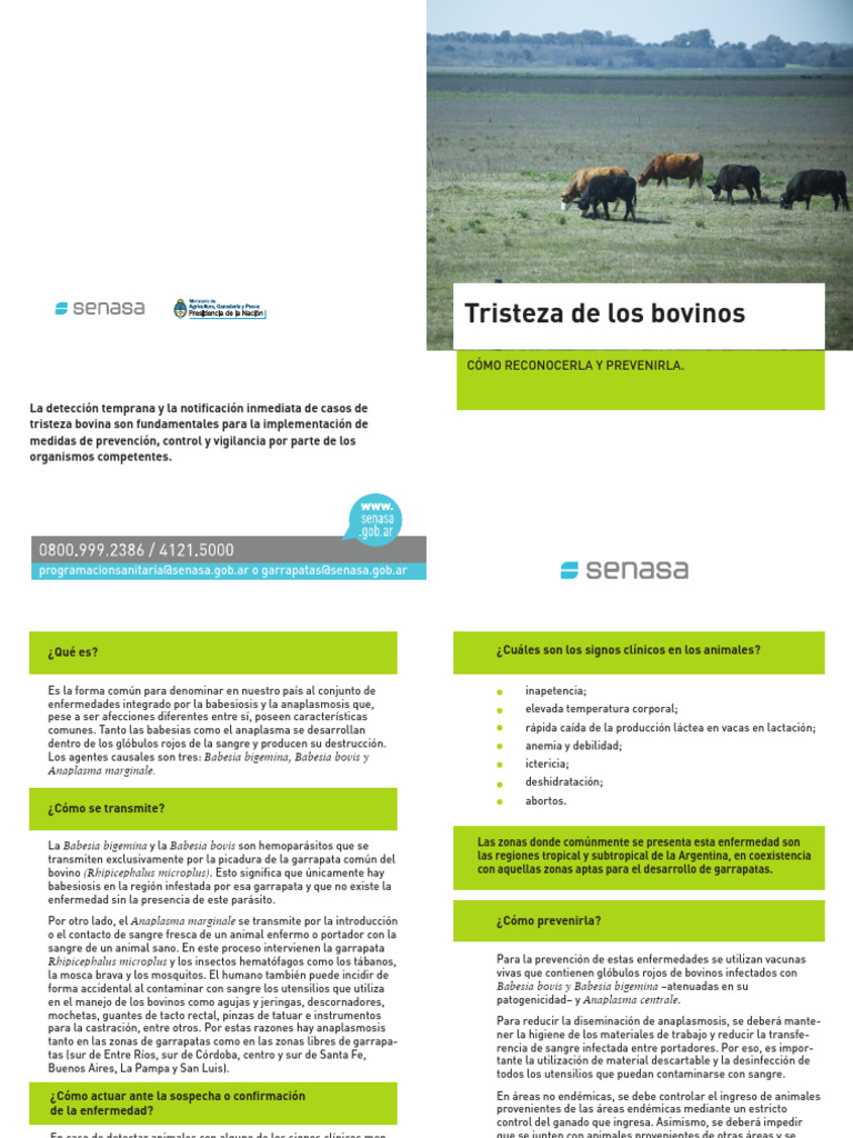 Diptico Tristeza Final | PDF