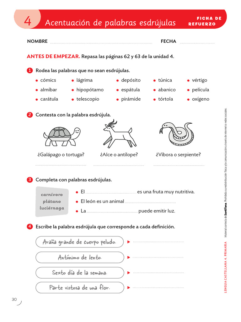 Repaso Tema 4 Lengua | PDF