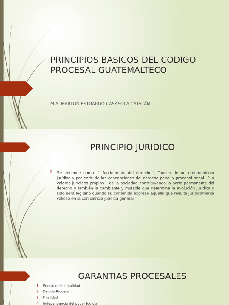 Principios Basicos Del Codigo Procesal Guatemalteco | PDF