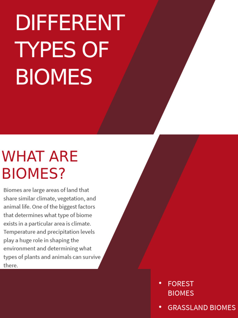 Envi. Sci. Diff. Types of Biomes Chad 071939 | PDF