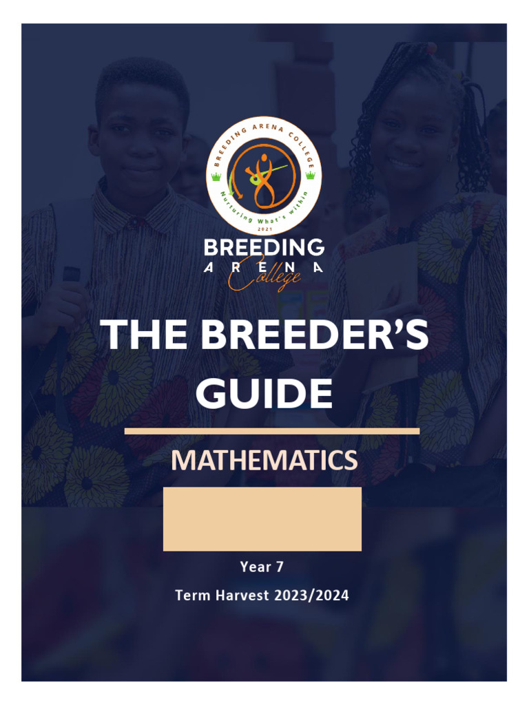Mathematics Year 7 Brochure | PDF