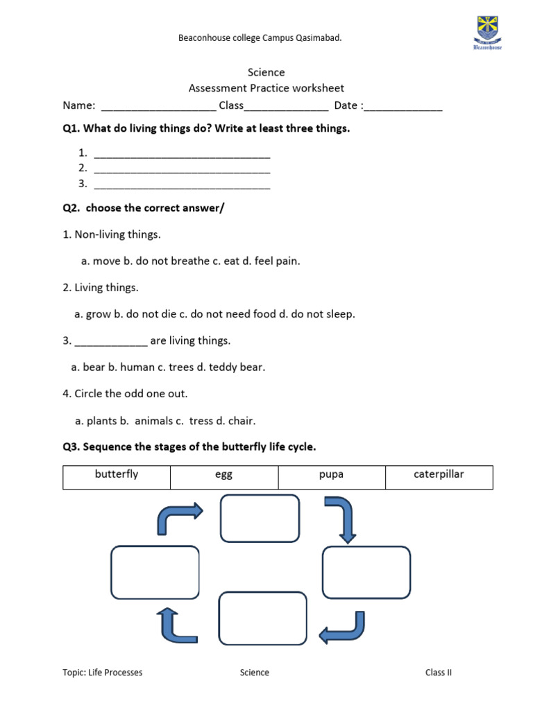 Science practice worksheet | PDF