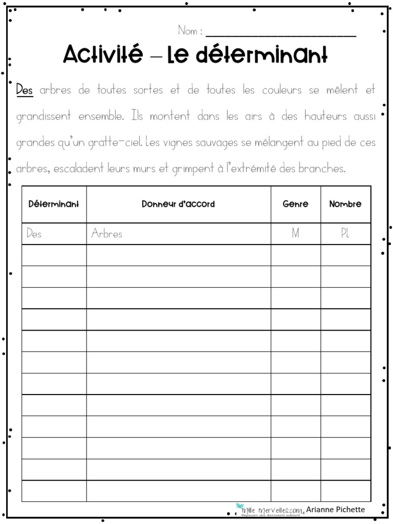 Activité - Le Déterminant | PDF