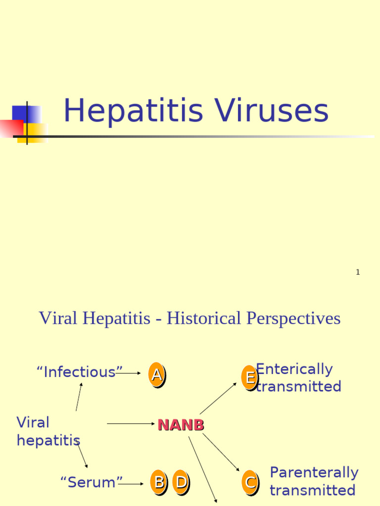 Hepatitis | PDF