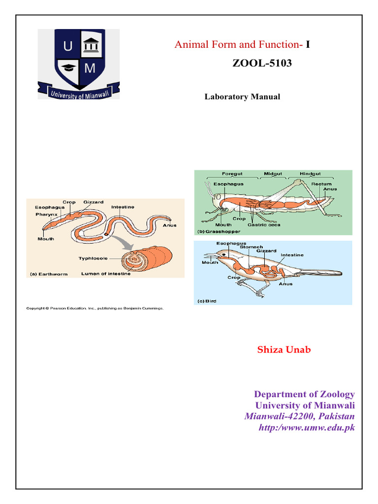 Lab Manual of ANIMAL FORM and FUNCTION | PDF