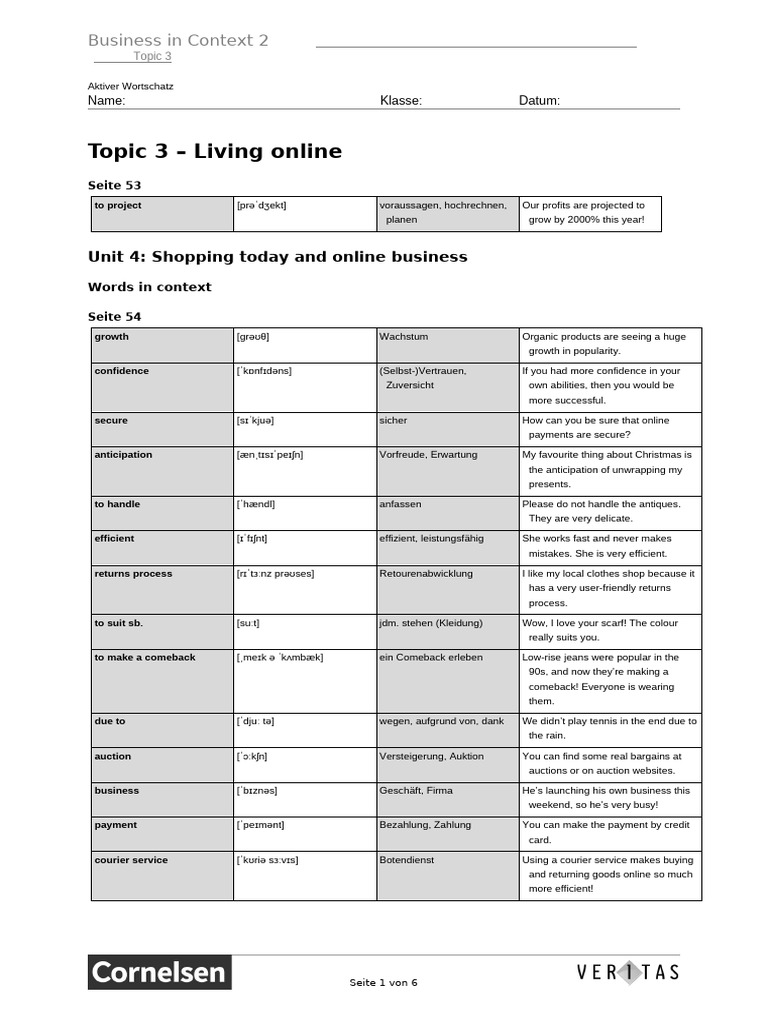 Topic 3 - Living Online: Business in Context 2 | PDF
