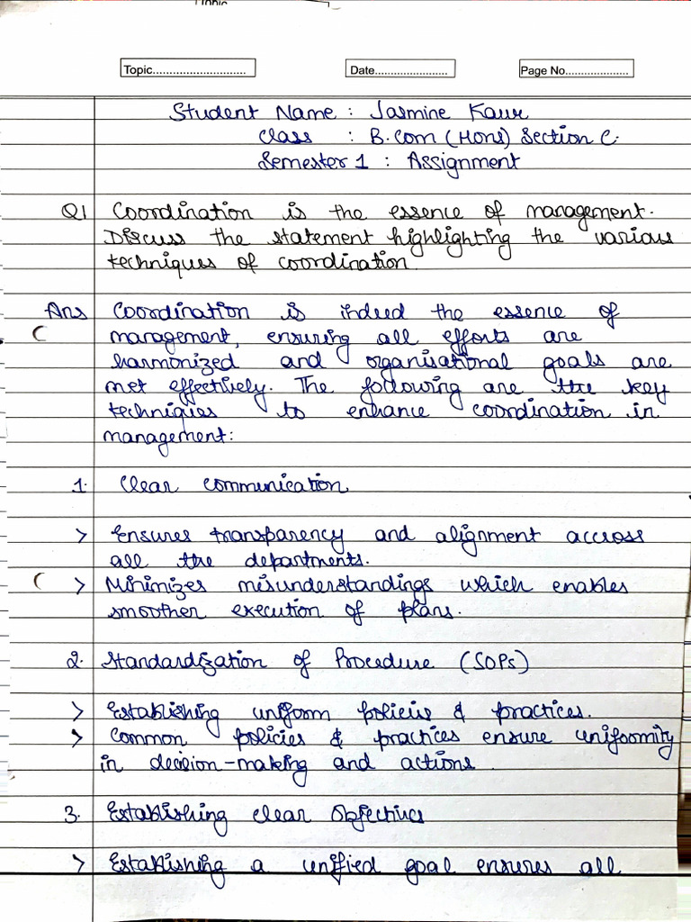 CA1 and Internal Asm | PDF