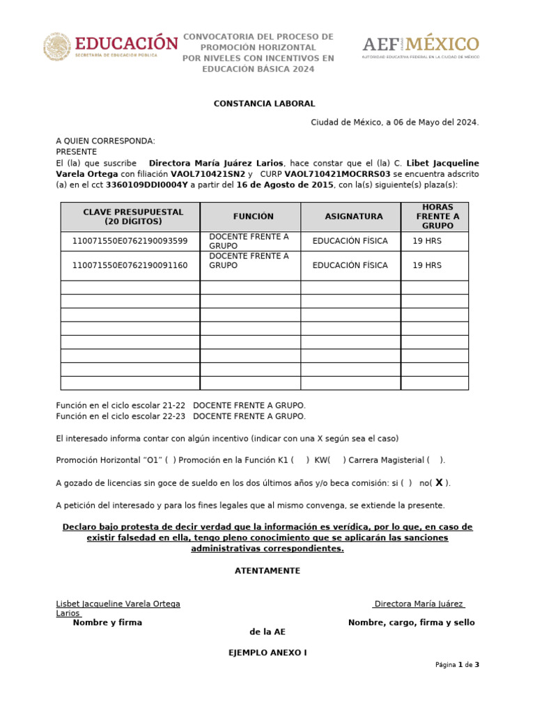 Constancia Laboral Editable Pdf