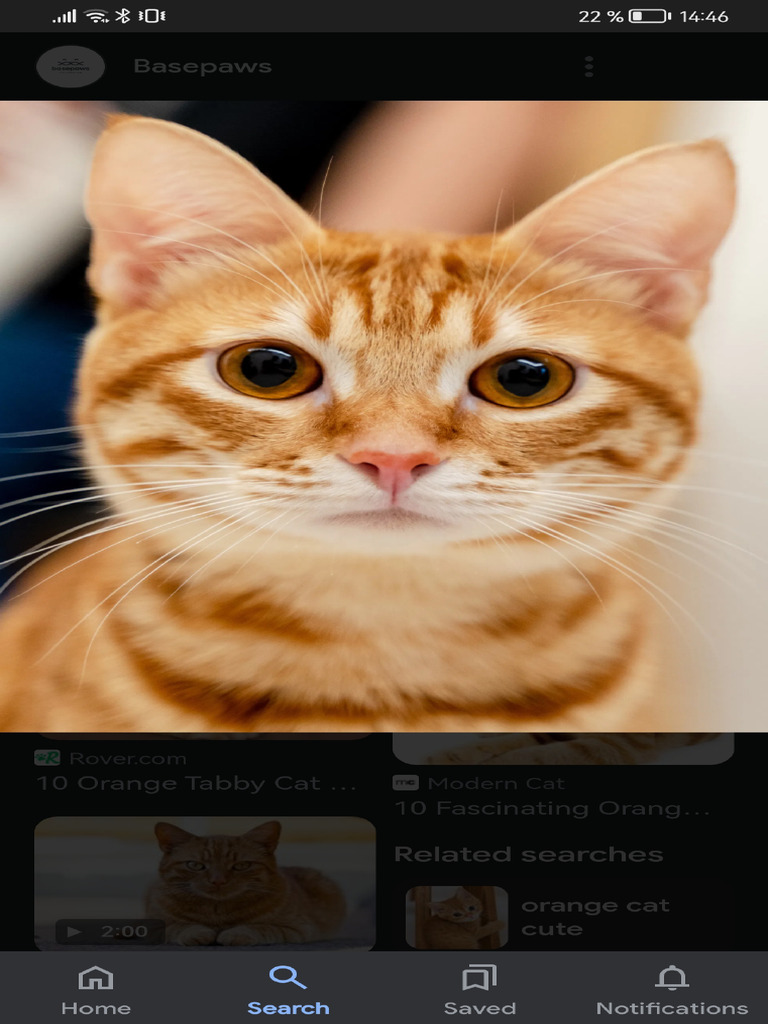 Screenshot 20241007 144608 Com - Google.android - Googlequicksearchbox | PDF